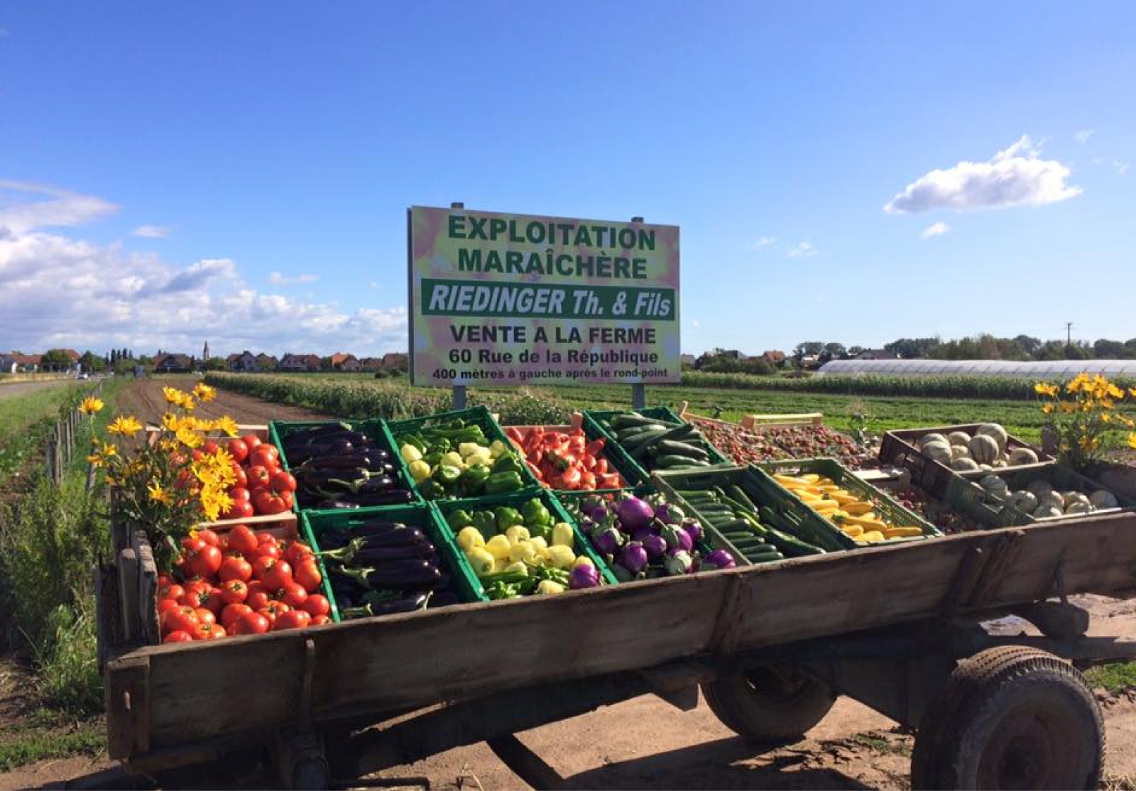 Ferme Riedinger - du producteur au consommateur - Ferme Facile