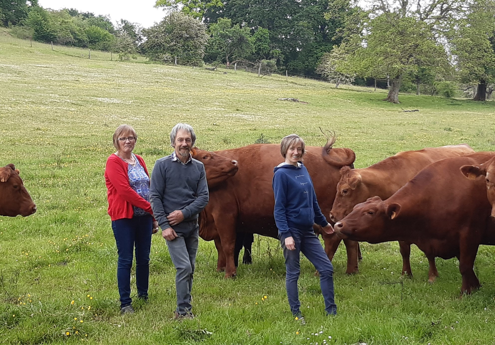 Ferme Reville Bio - du producteur au consommateur - Ferme Facile