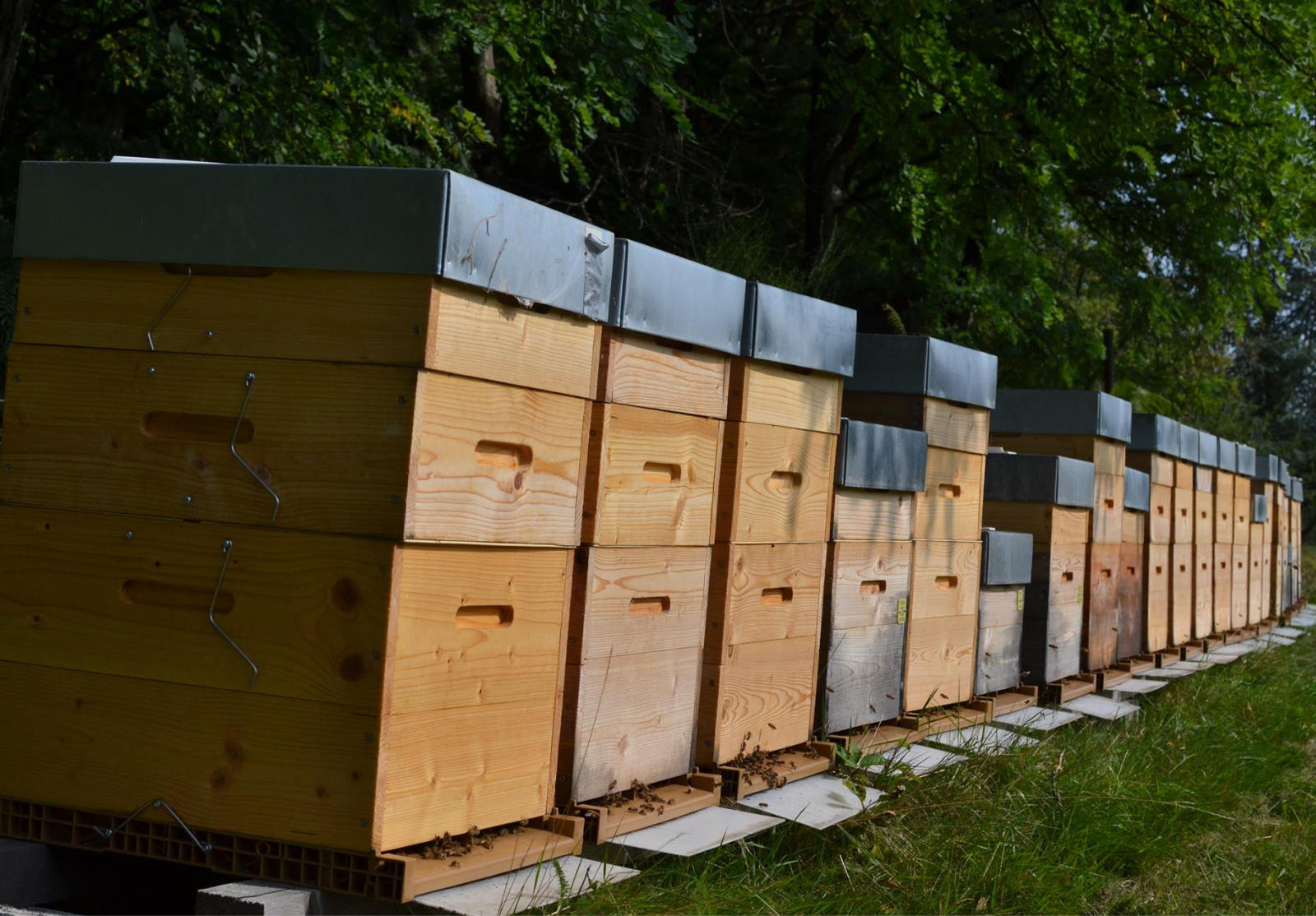 Le Rucher de Grand-Pere - du producteur au consommateur - Ferme Facile