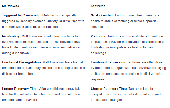 Meltdowns: Autistic Children & Teenagers
