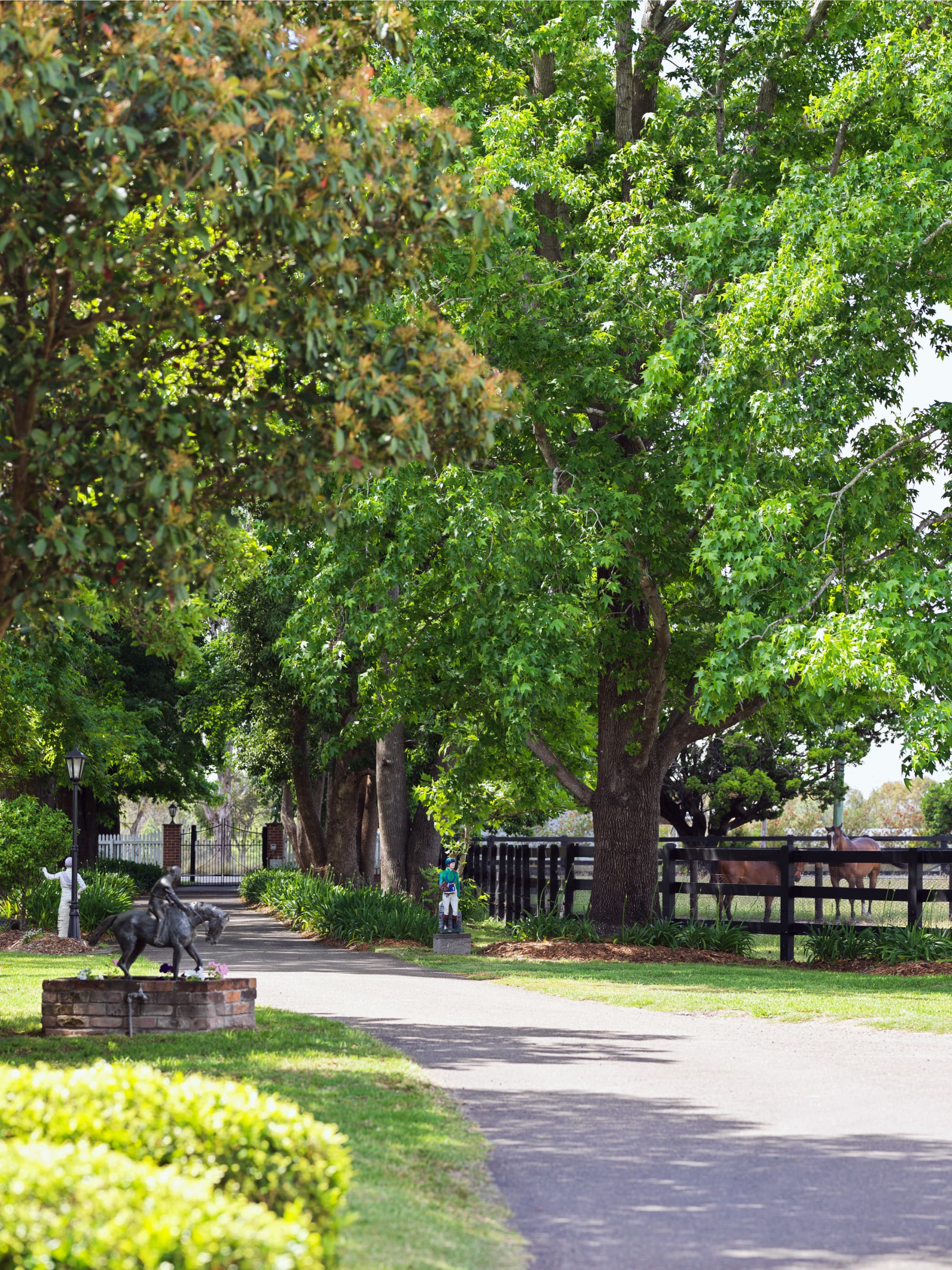 Michael Bell Architects | Tyreel Stud, Agnes Banks