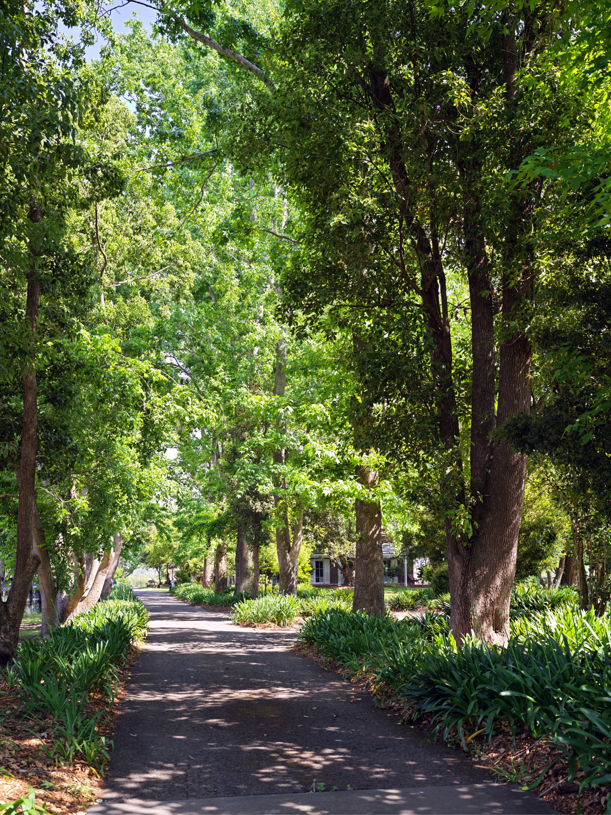 Michael Bell Architects | Tyreel Stud, Agnes Banks