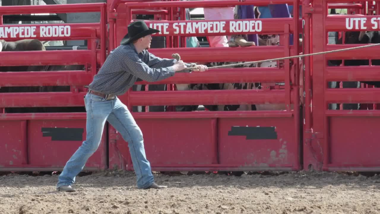 Home [www.cheyennecountyfair.com]