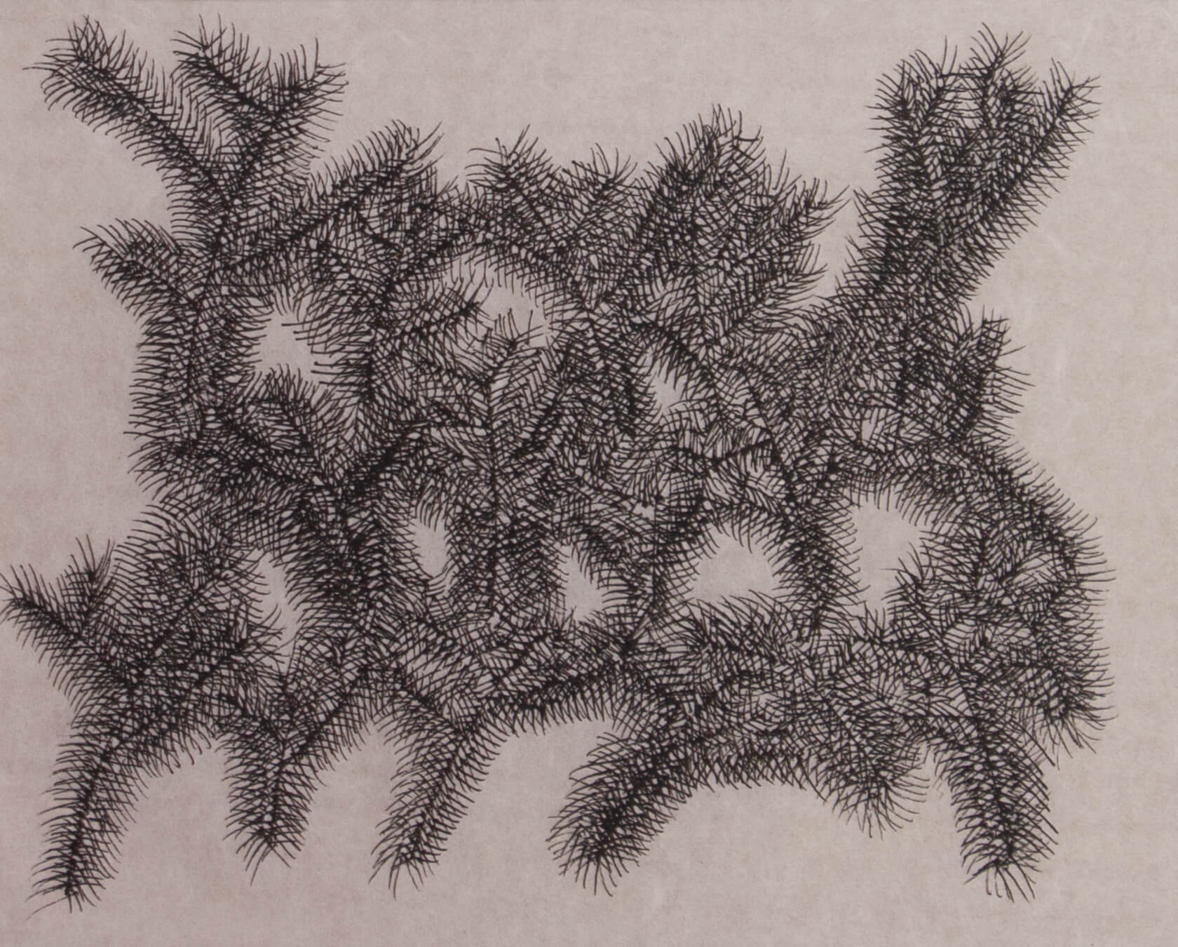 UNTITLED (Bush Studies III) by Gor Soudan | ARAK-2018-GS03