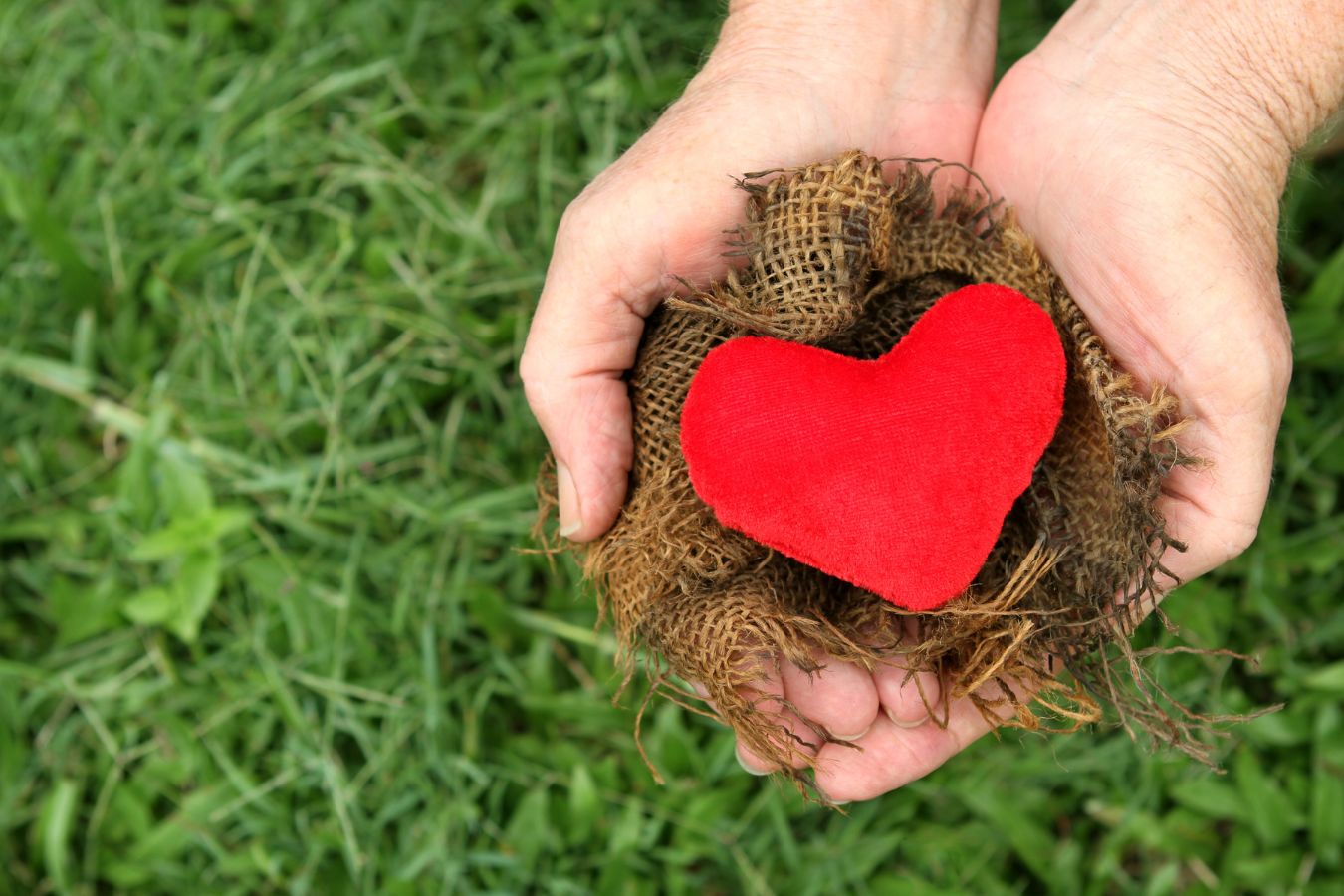 How to Be Humble: 2024 Tips to Being Humble - HiPeople