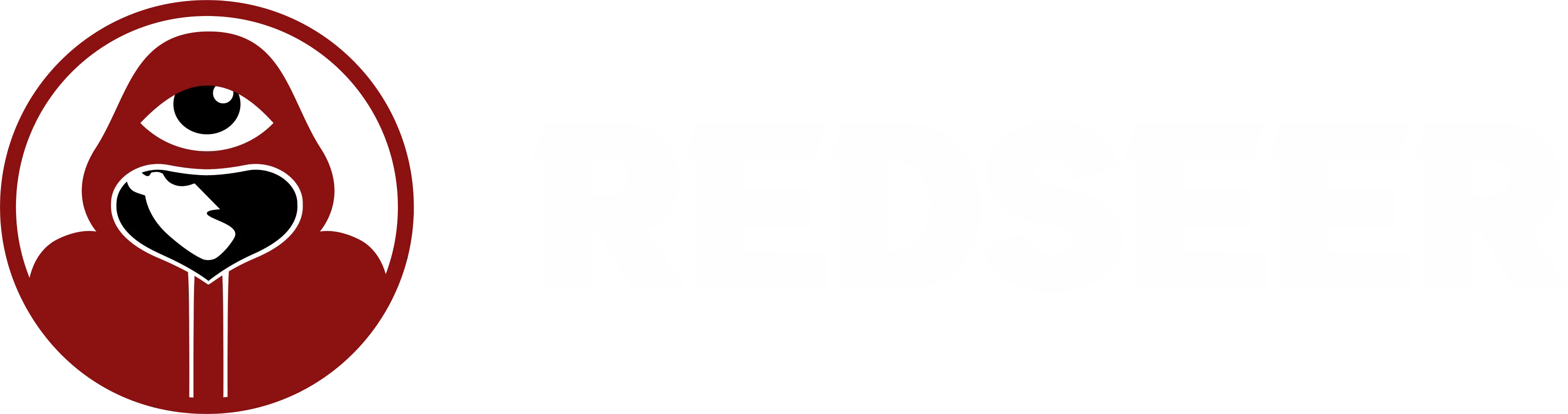 Expert Cybersecurity Solutions - Redseer Security