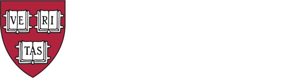 Expert Cybersecurity Solutions - Redseer Security