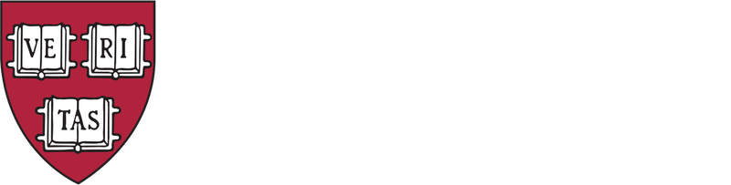 Expert Cybersecurity Solutions - Redseer Security