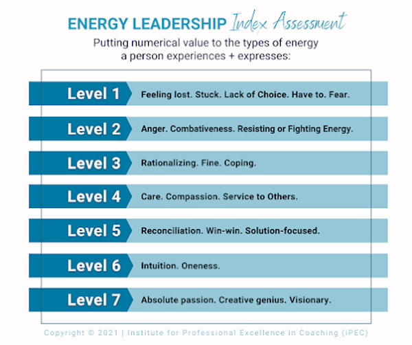 7 Leadership Assessment Tools to Unlock Leadership Potential | Zavvy