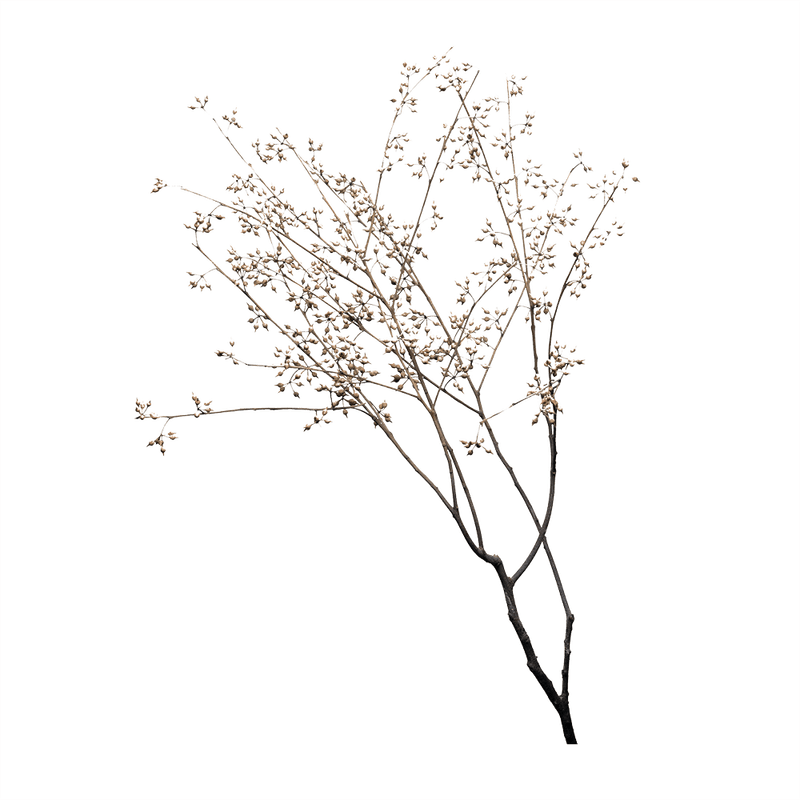 Discover Mediterranean Dining in Toowoomba | Loulaki