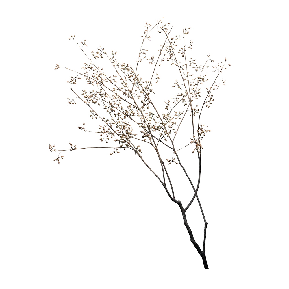 Discover Mediterranean Dining in Toowoomba | Loulaki