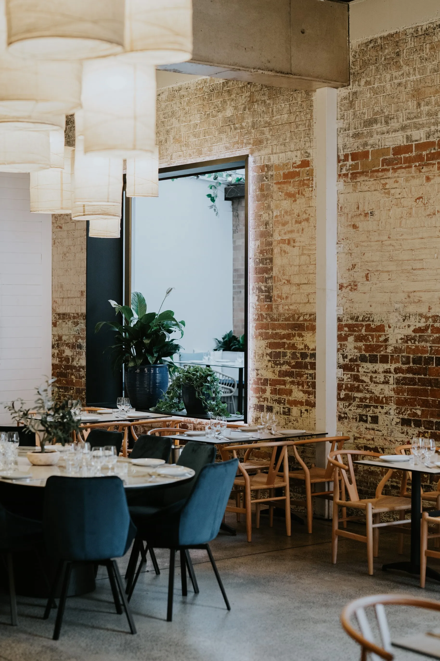 Discover Mediterranean Dining in Toowoomba | Loulaki