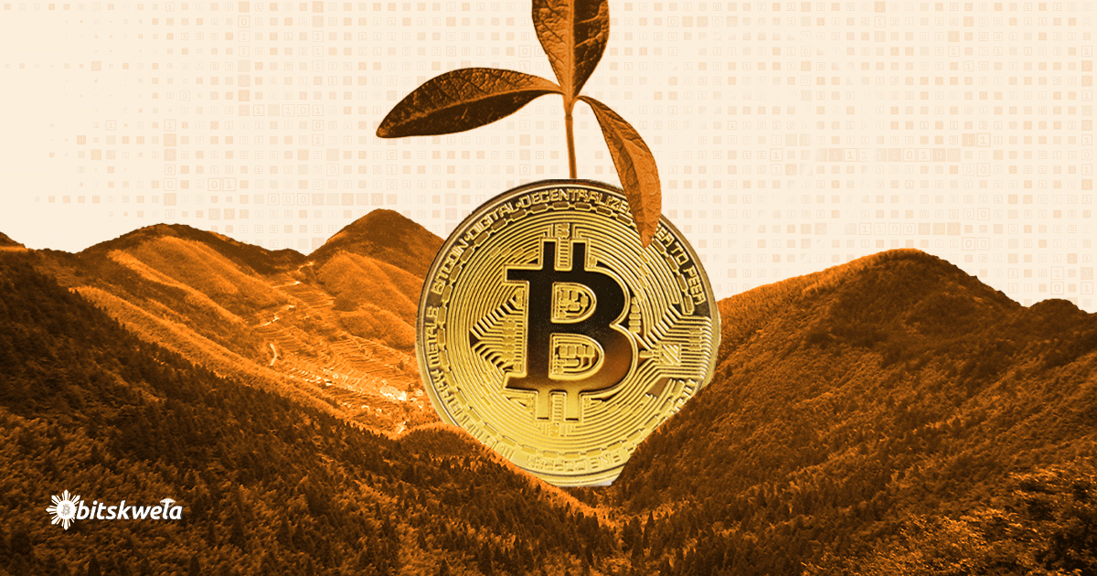 ReFi: Web3 Solutions to the Climate Crisis