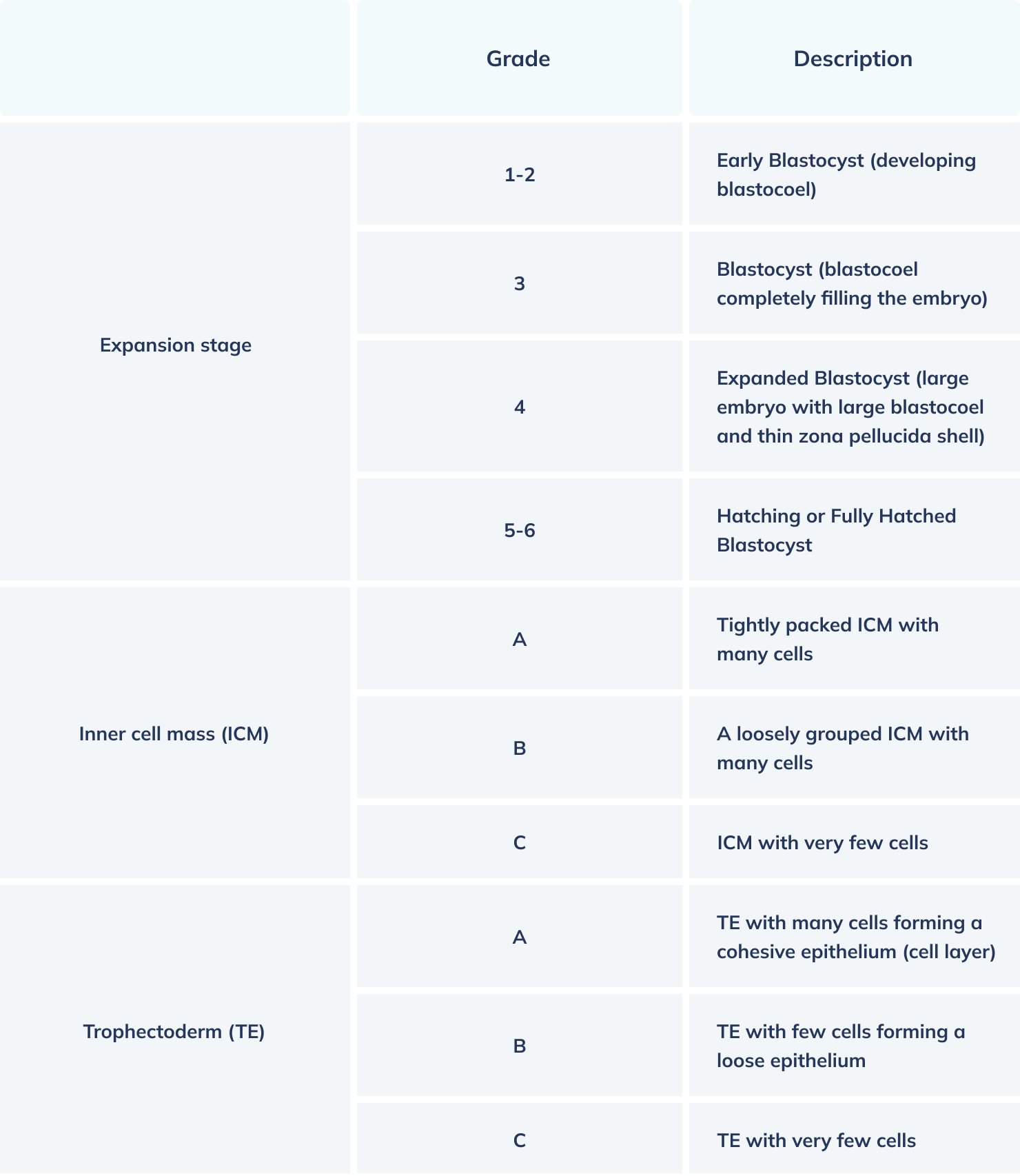 Embryo Grading & How It's Done | Fertilitywise