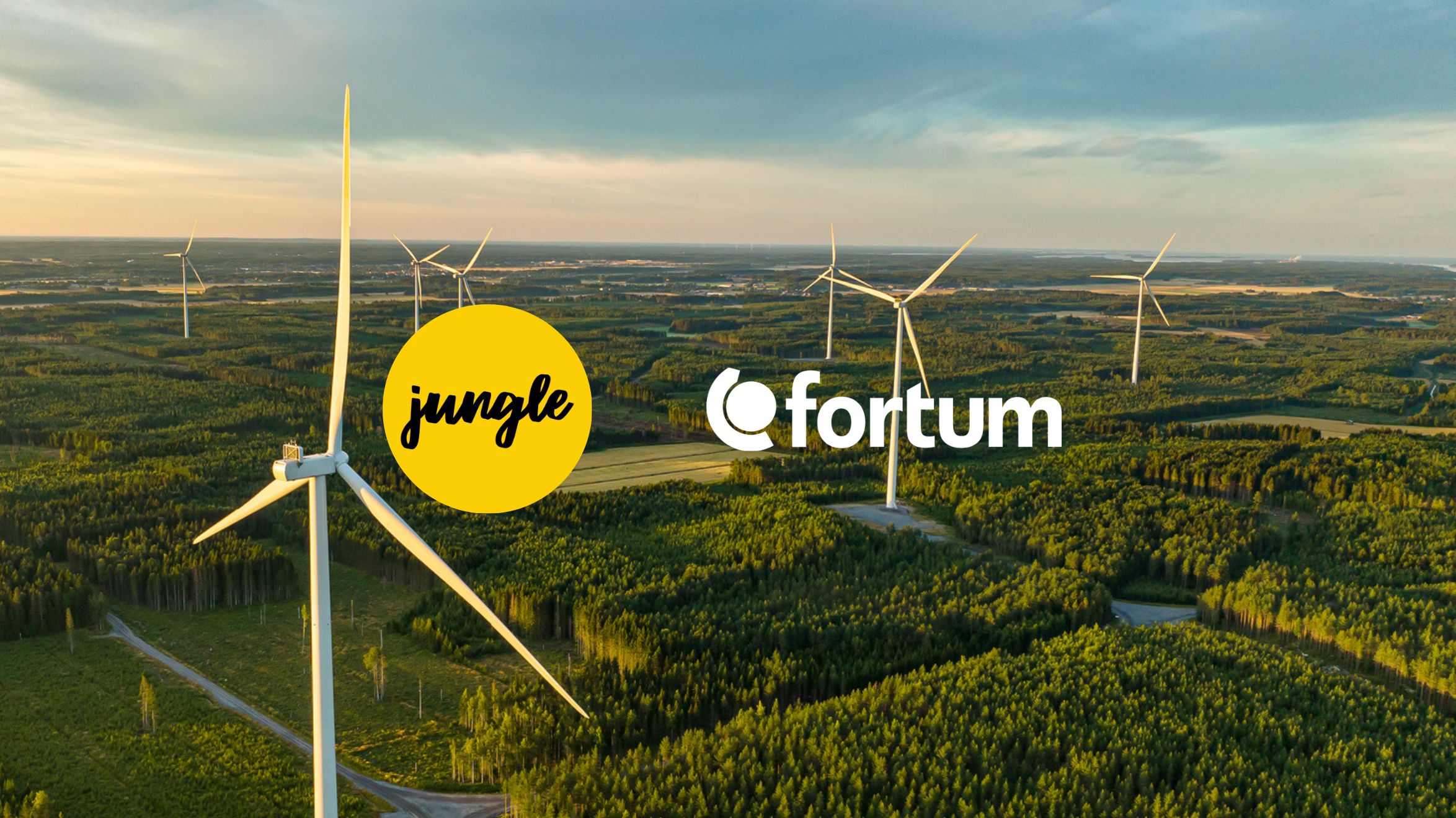 Jungle AI - Blog