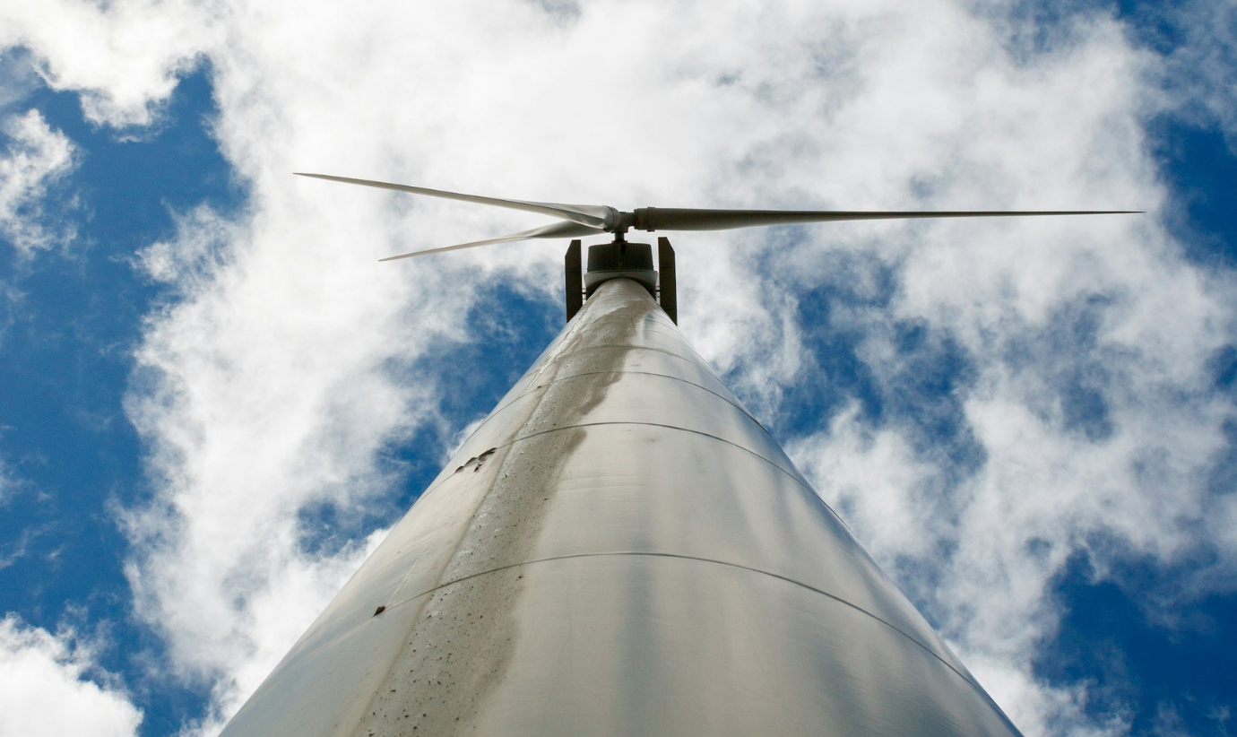 Jungle AI - Case study