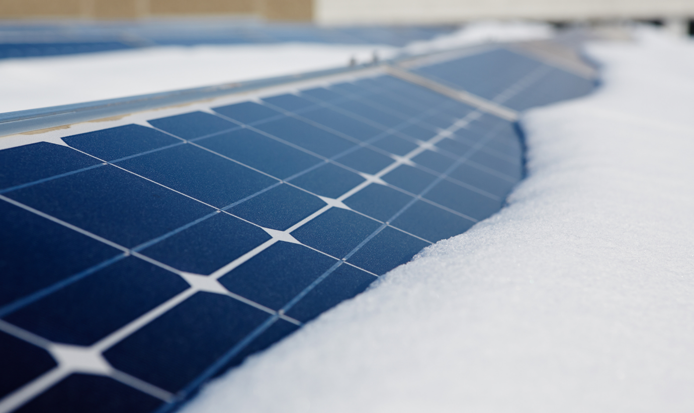 Jungle AI - Case study