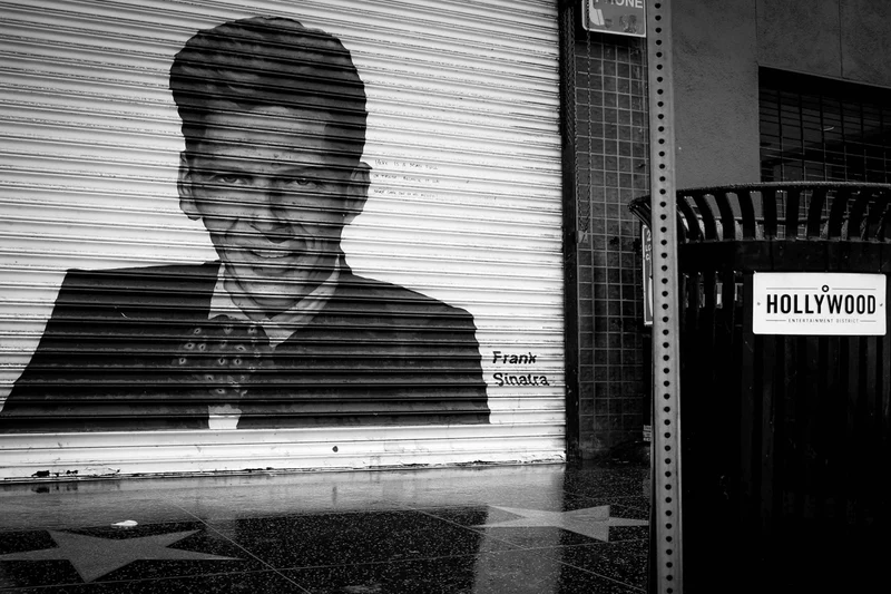 10 Best Ruby Development Frameworks to Use in 2021 | Pangea.ai