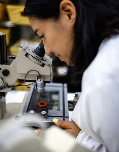 About Us | Sesame Technologies, Inc.