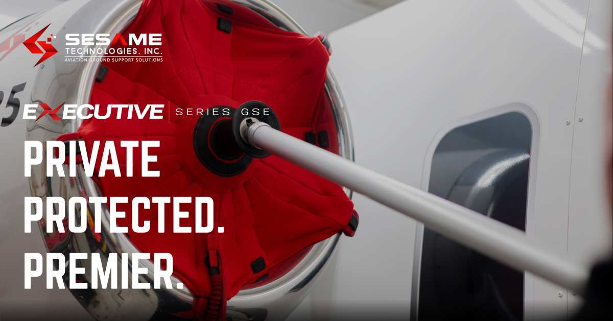 Executive | Sesame Technologies, Inc.