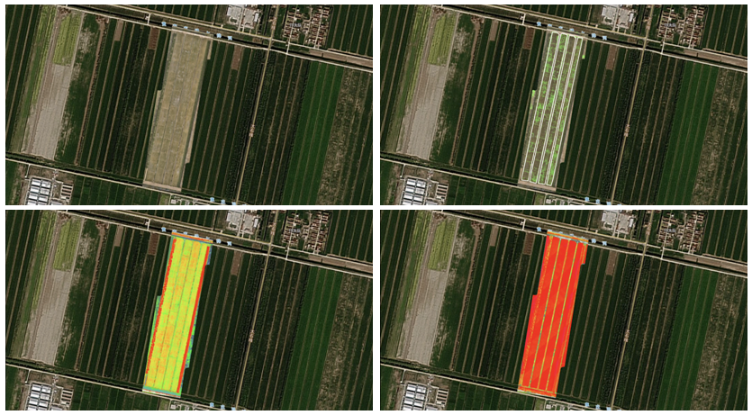 Elevate Your Crops with Agricultural Precision Spraying