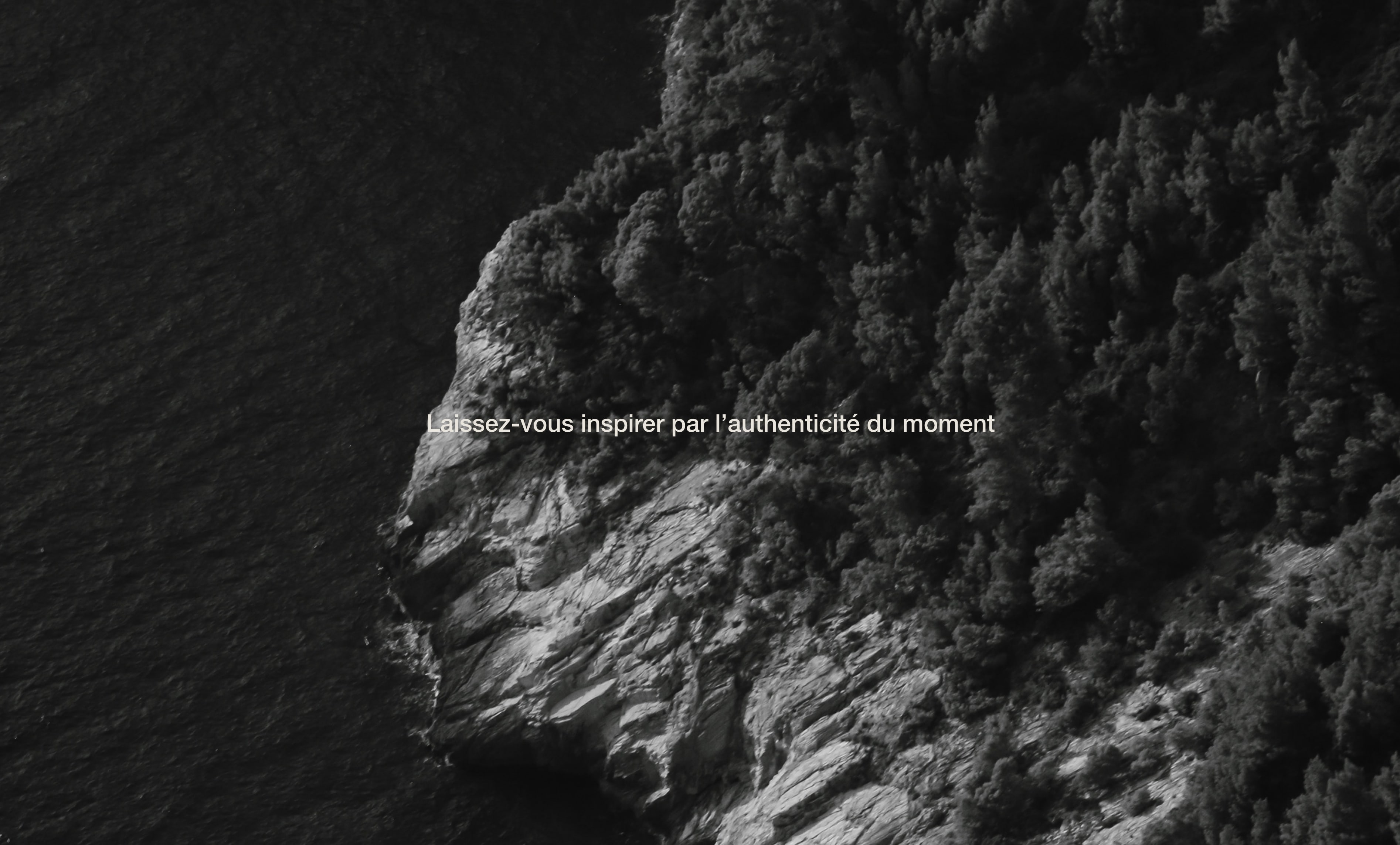 Face - Studio Tangible