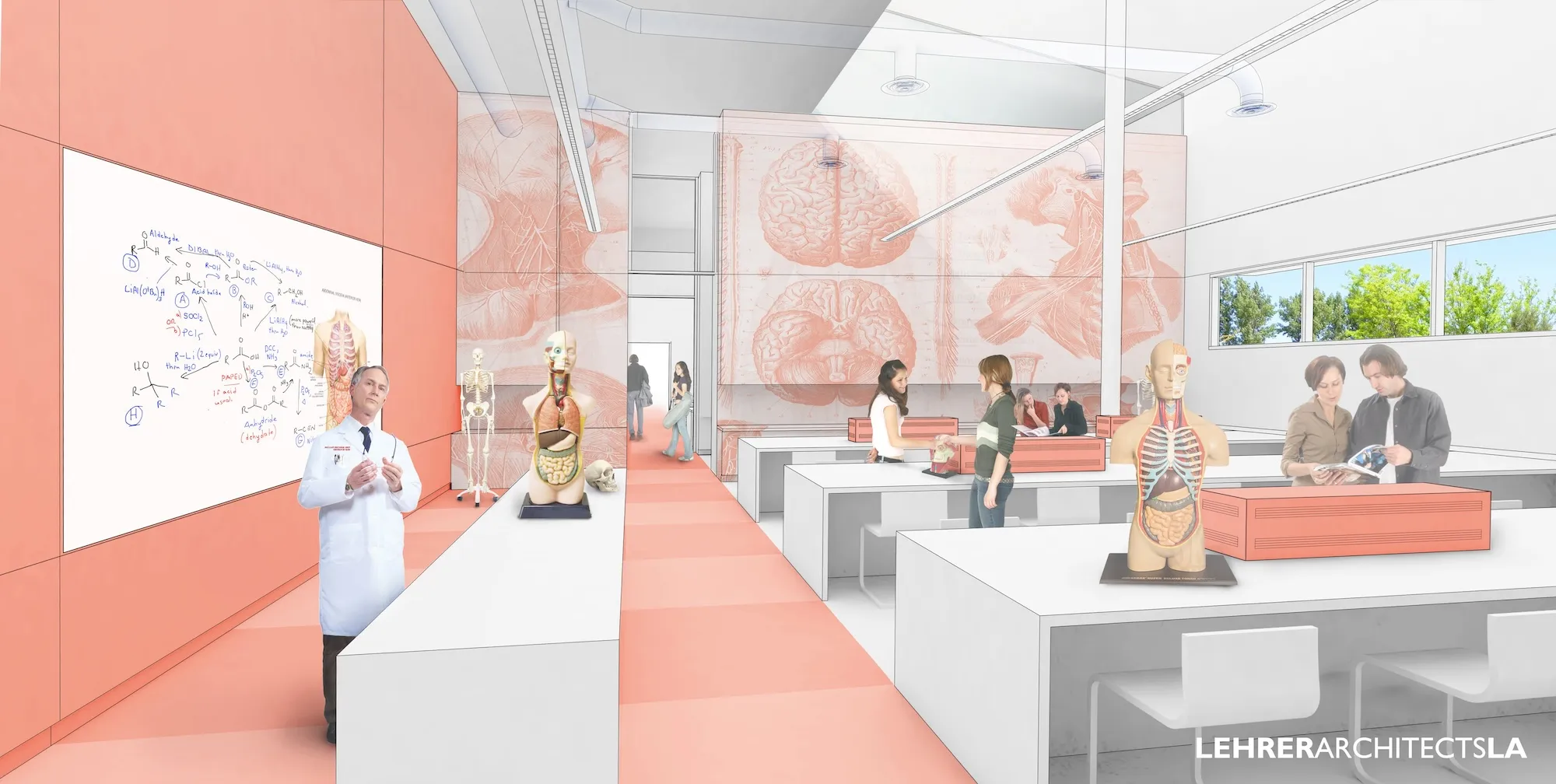 California State University San Bernadino - Biology Teaching Labs ...