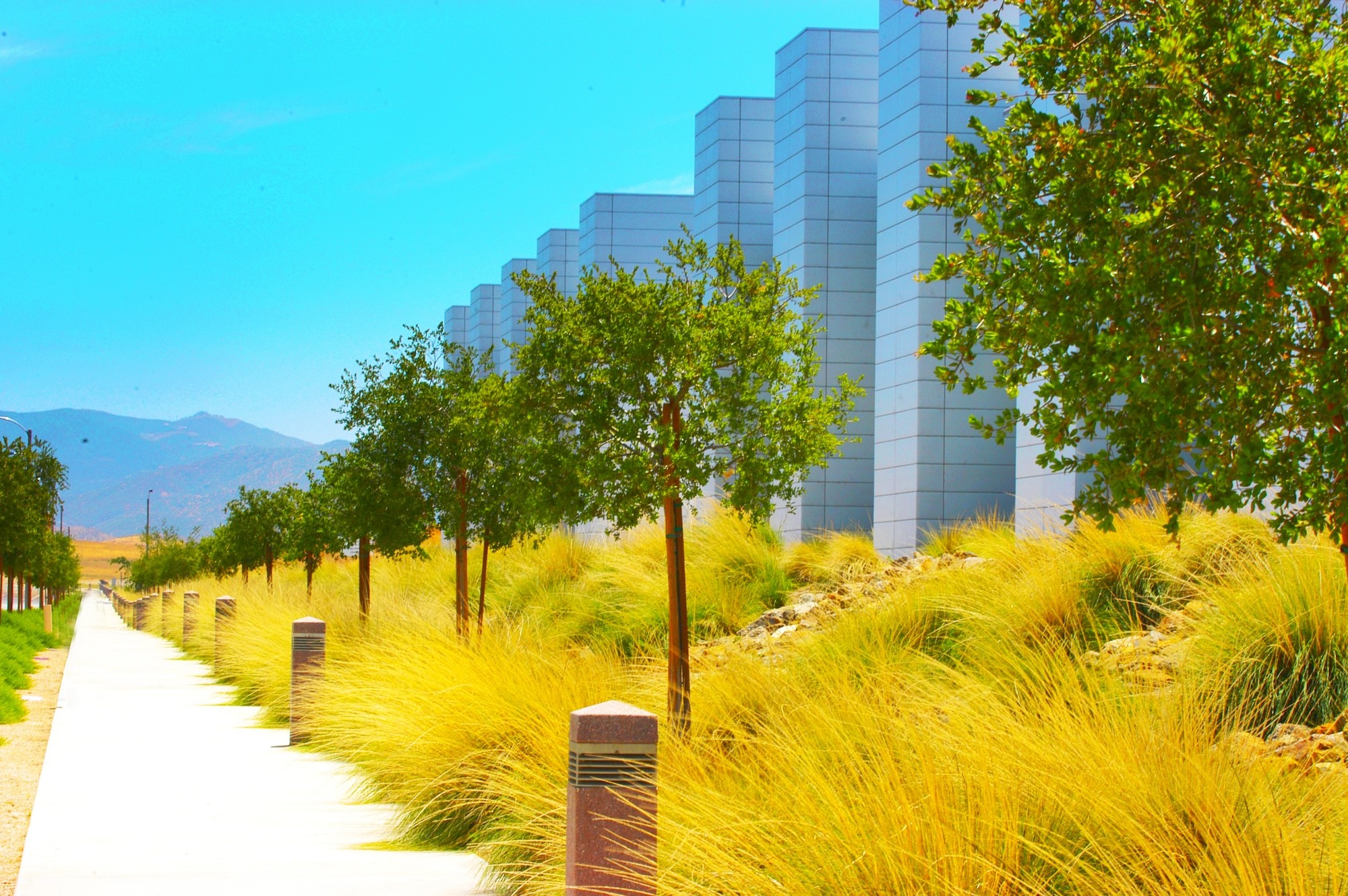 Western Science Center Academy | Lehrer Architect LA