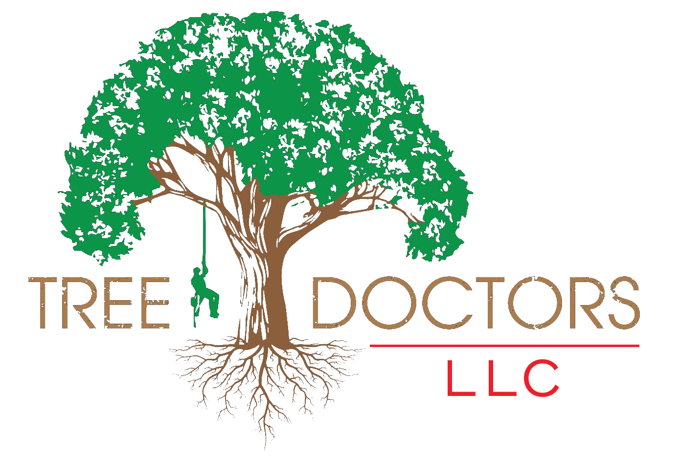 Tree Doctors - Profesionales Confiables Al Servicio De Tus Arboles ...