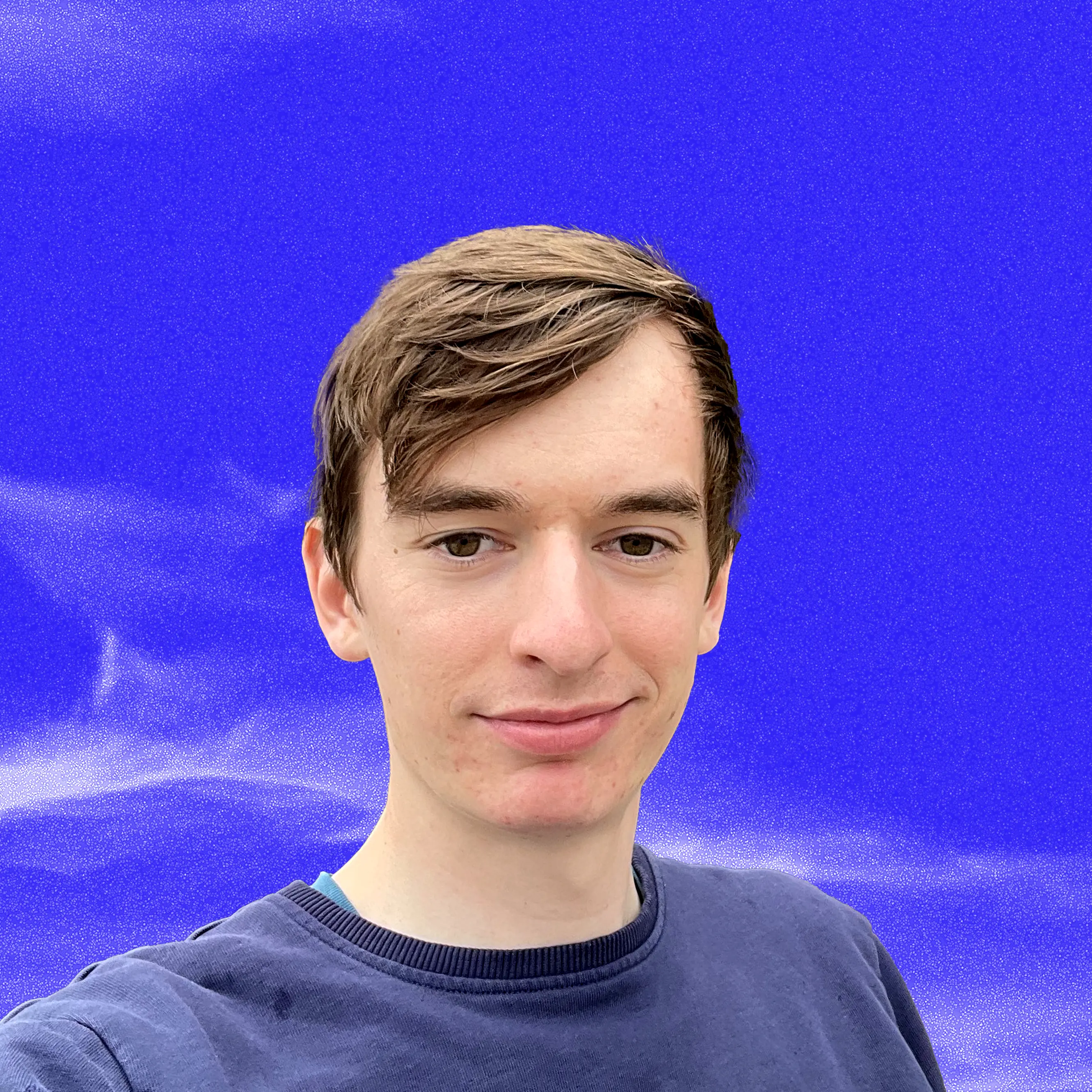 COWS - About Us | Flight Simulation Development