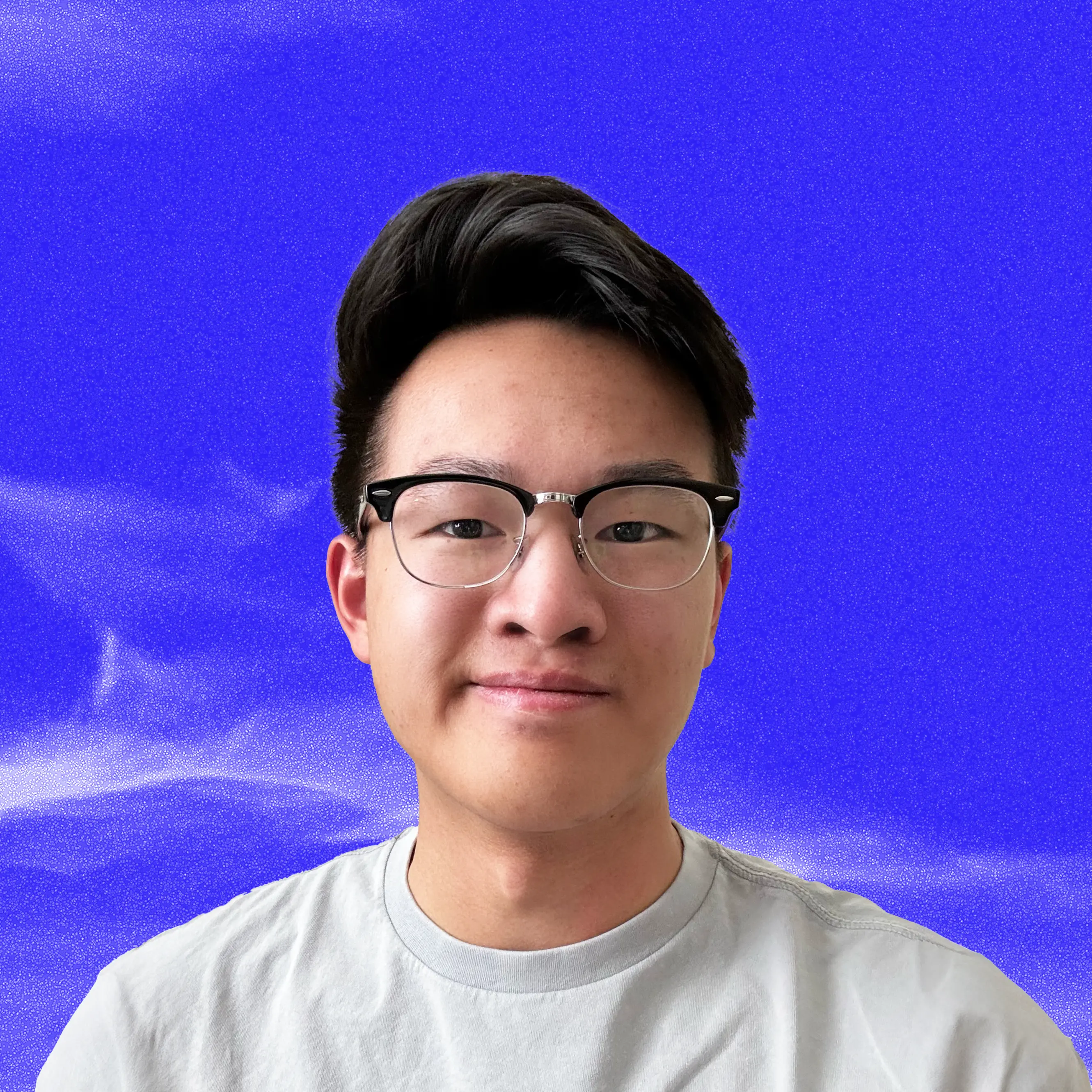 COWS - About Us | Flight Simulation Development