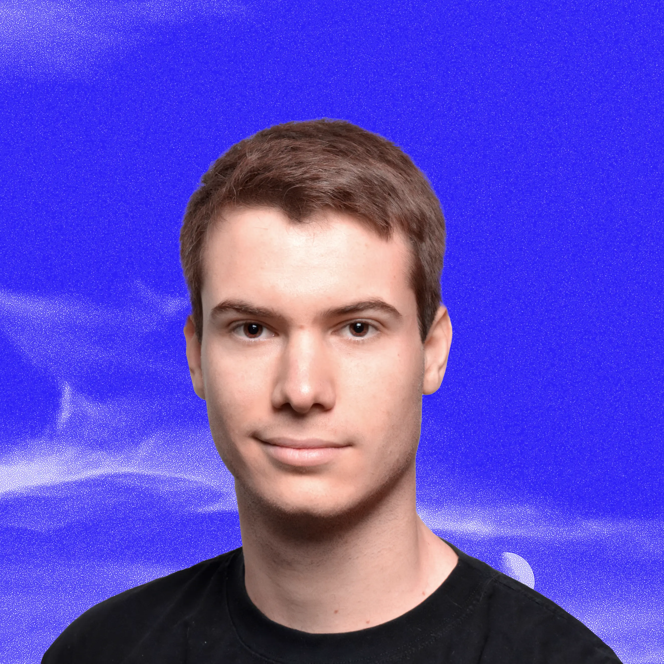 COWS - About Us | Flight Simulation Development