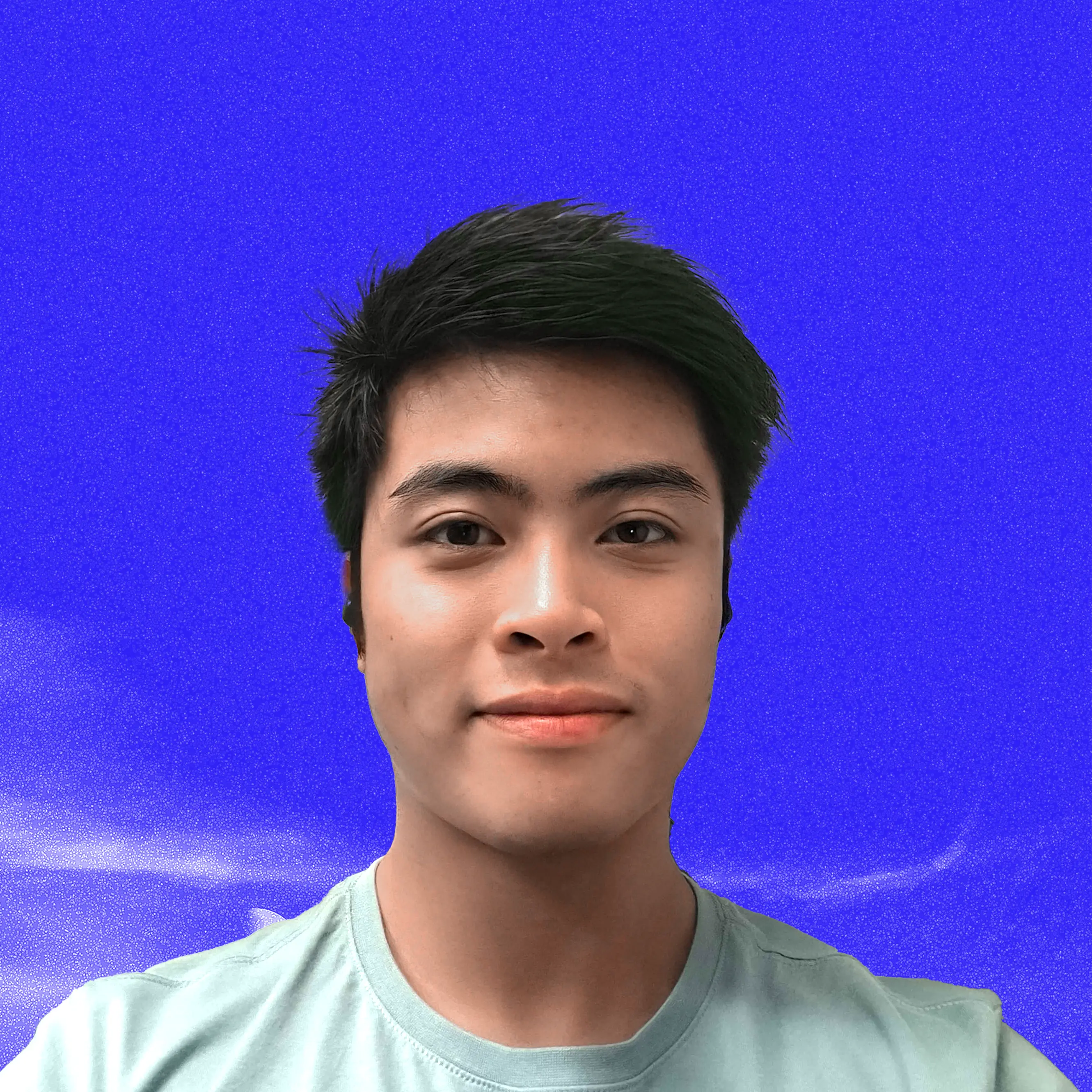 COWS - About Us | Flight Simulation Development