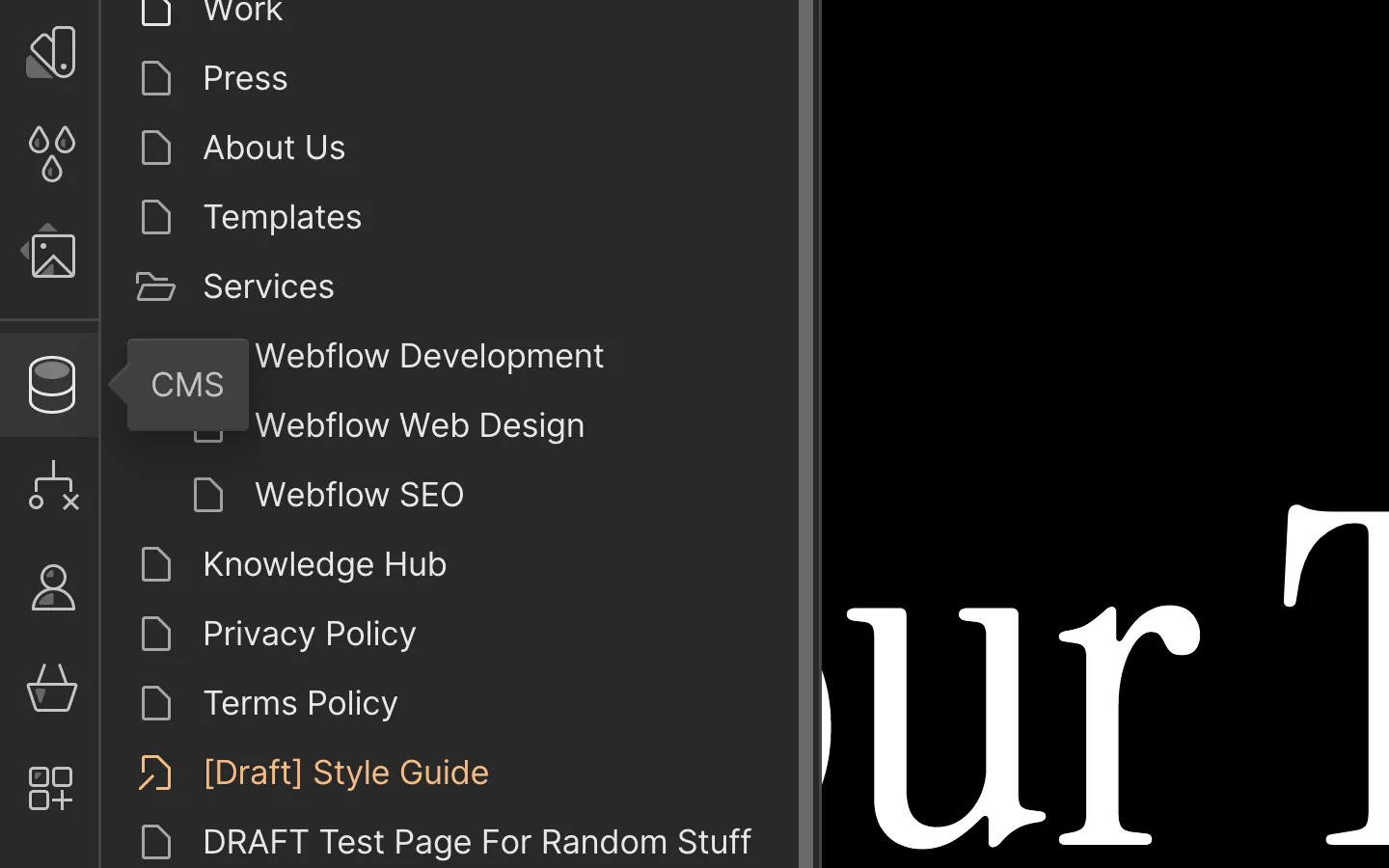 Webflow CMS: What is it, why use it and how to use it like a pro 🚀