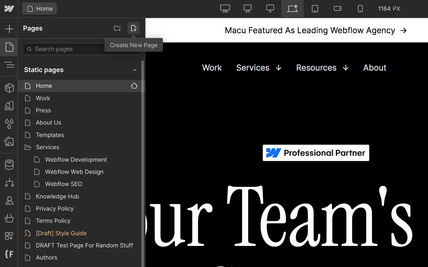 Webflow CMS: What is it, why use it and how to use it like a pro 🚀