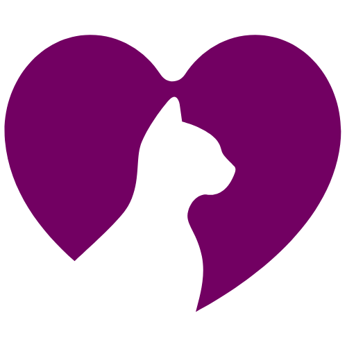 Feline Fine Cat Clinic –Cats ONLY Veterinary Clinic