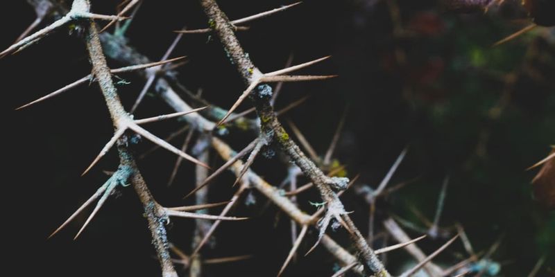 Menopause and Paresthesia: Tingling, prickly skin sensations