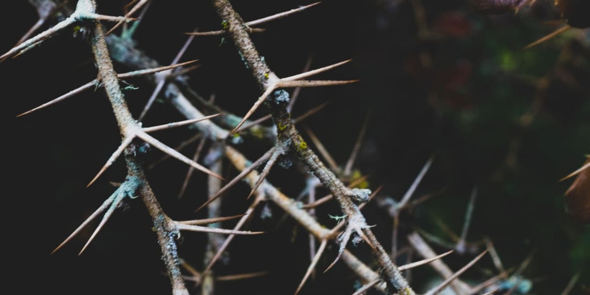 Menopause and Paresthesia: Tingling, prickly skin sensations