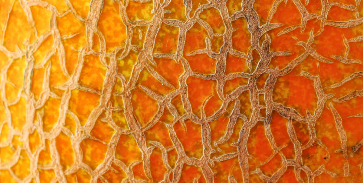 What Causes Lichen Sclerosus To Flare Up?