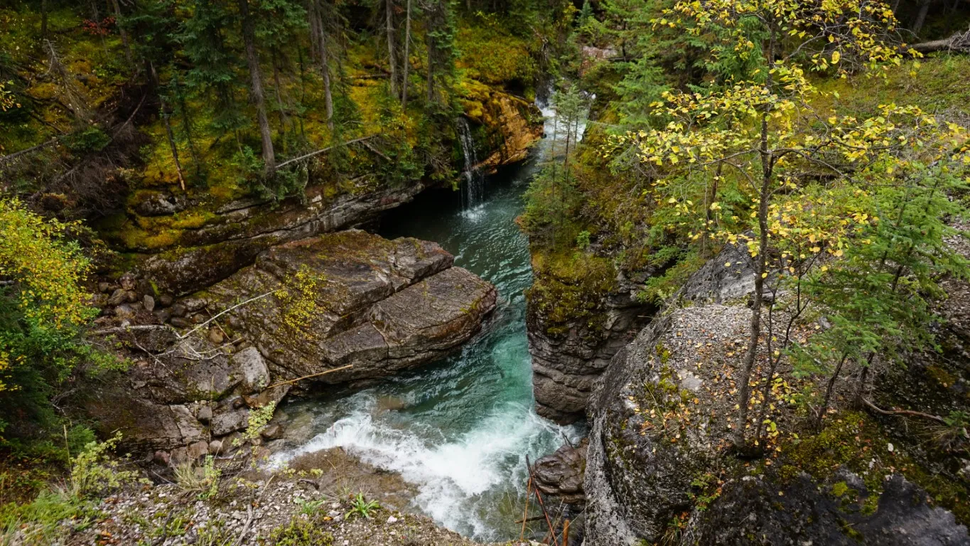 Maligne Valley Sightseeing | SunDog Transportation and Tour Co.