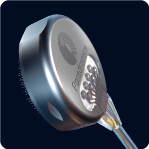 Connecting the Human Brain with DDI