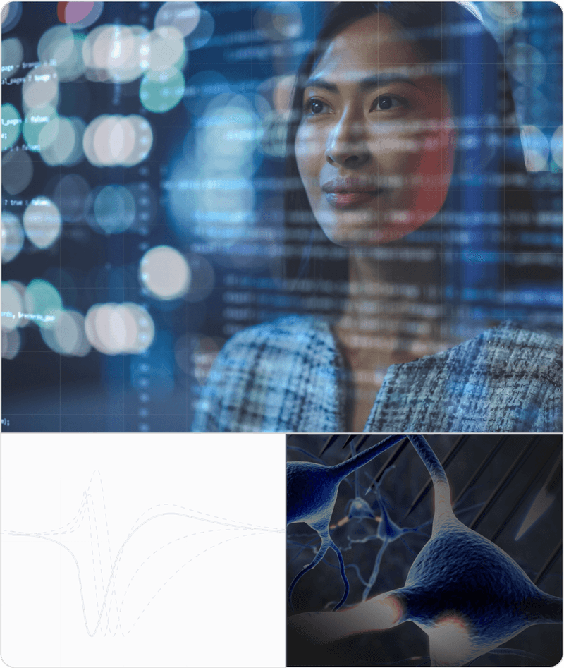 Connecting the Human Brain with DDI