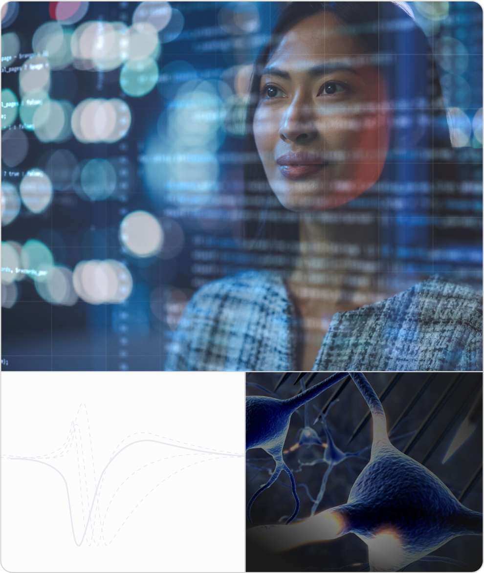 Connecting the Human Brain with DDI