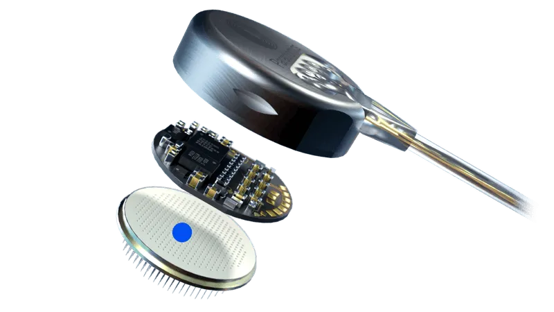 Connexus Direct Data Interface | The Future of BCI