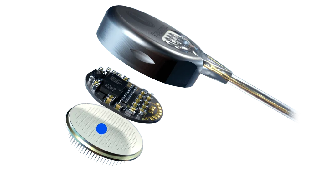 Connexus Direct Data Interface | The Future of BCI