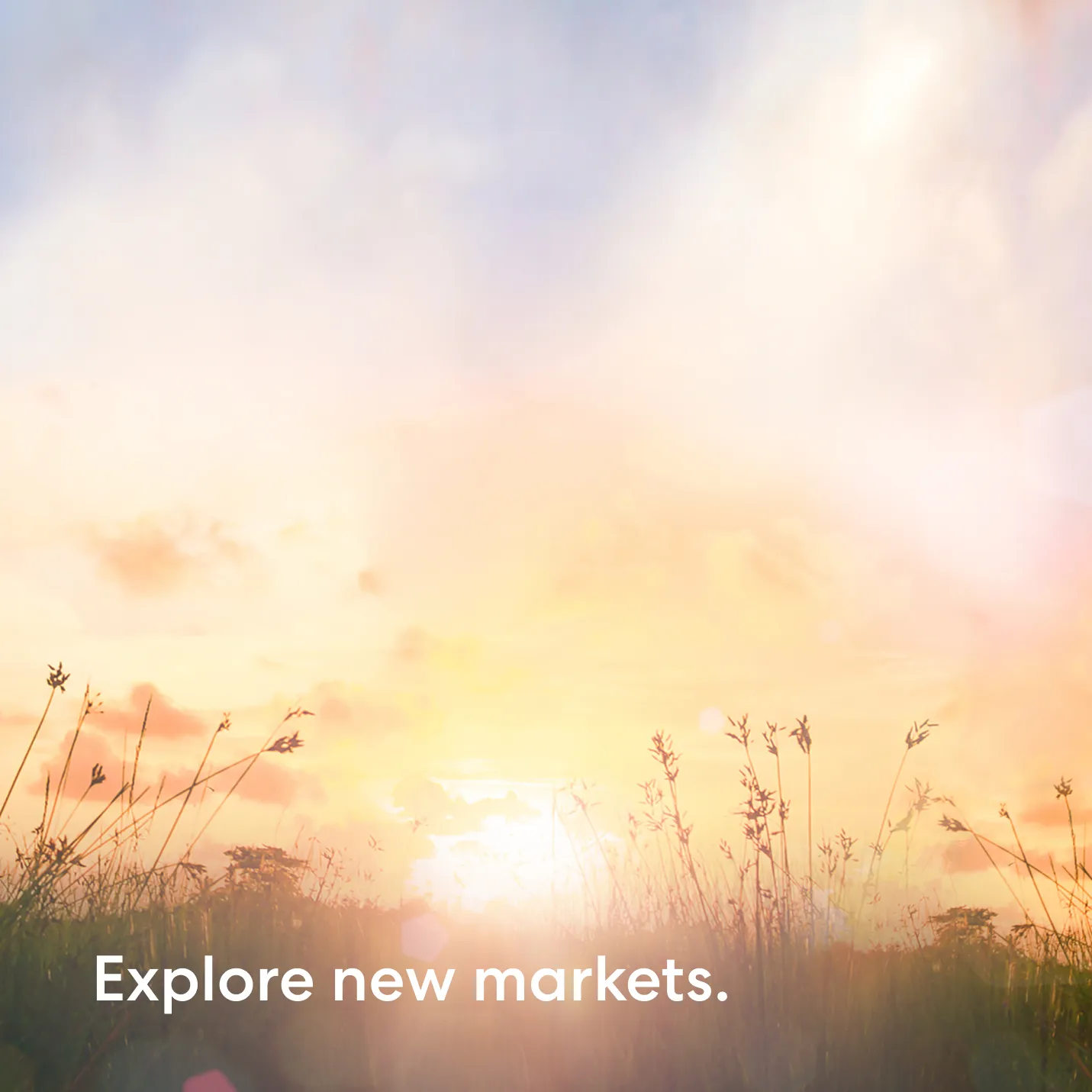 Remesh Approach Overview