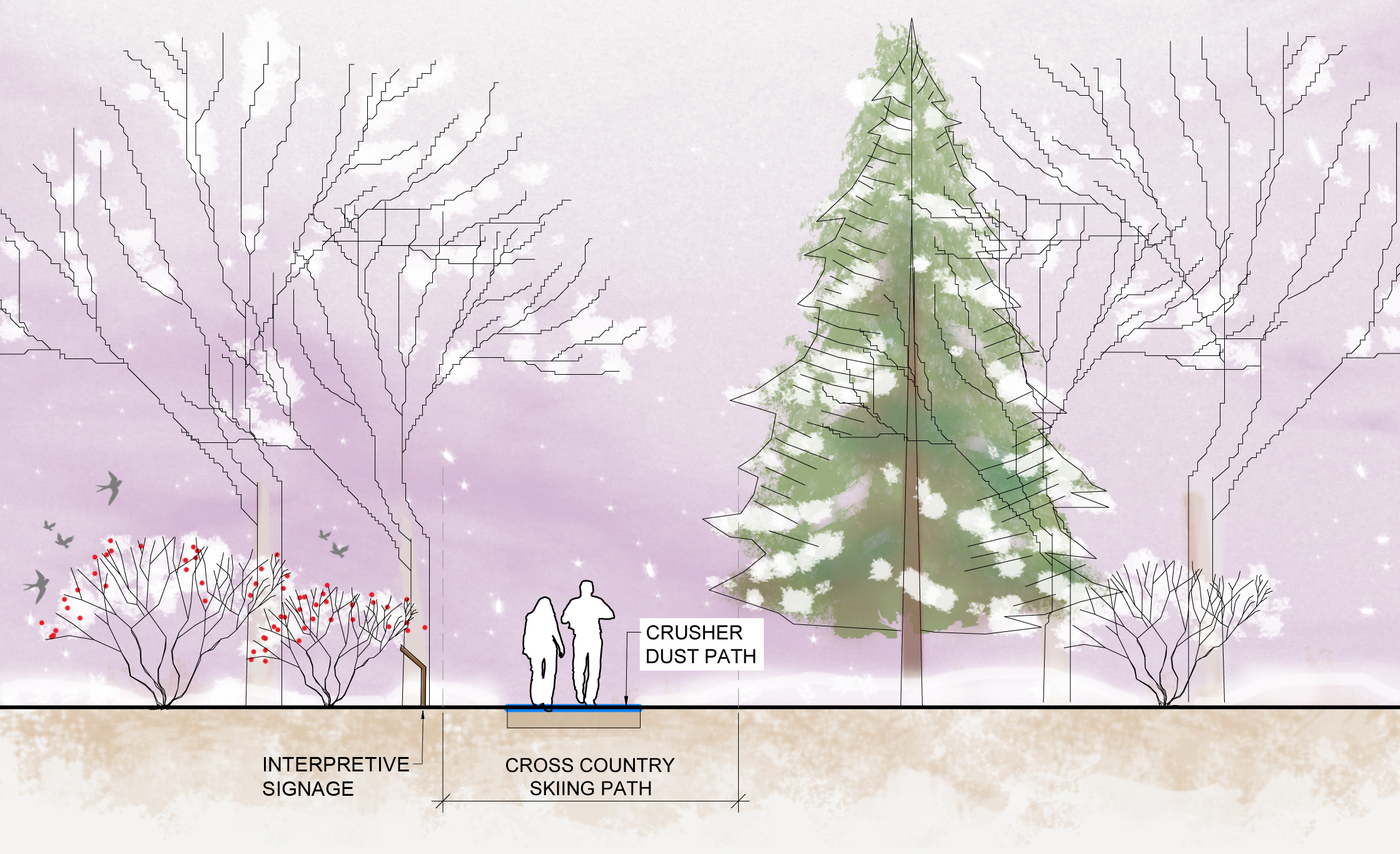Langenburg Pathways Master Plan