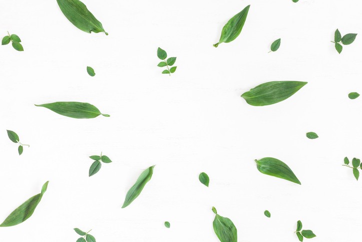 iBio Stock (NYSEAMERICAN:IBIO) Climbing The Ladder on Coronavirus ...