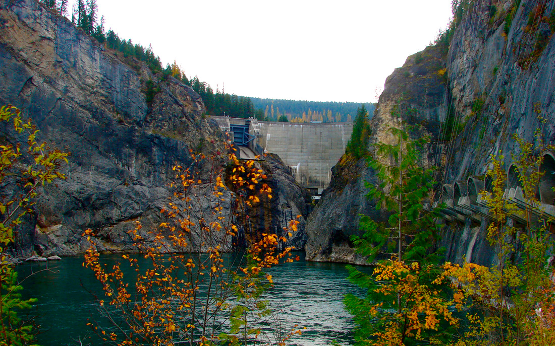 Regulatory and Licensing