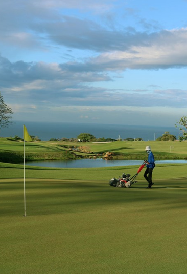 Netforce International | Homepage